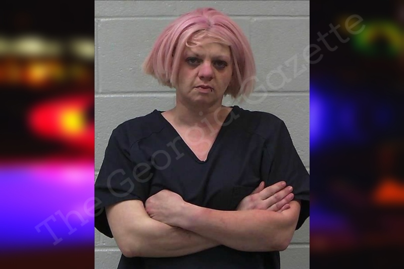 Kristen Gentry — Gilmer County Jail Bookings