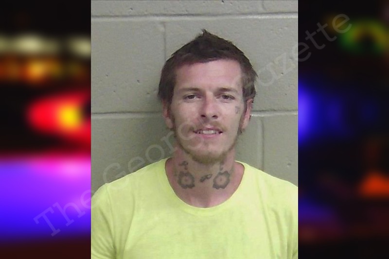 Jeramie Goodman — Wayne County Jail Bookings