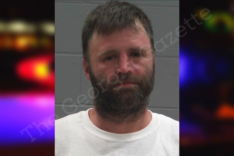 Jason Hendricks — Baldwin County Jail Bookings