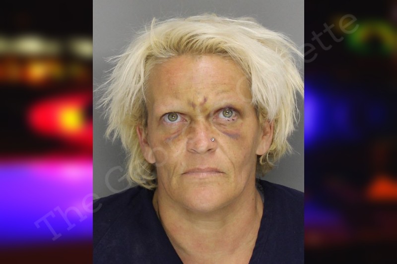 Misty Hendry — Cobb County Jail Bookings