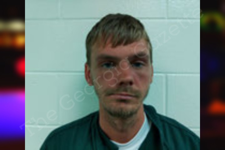 Fred Holt — Henry County Jail Bookings