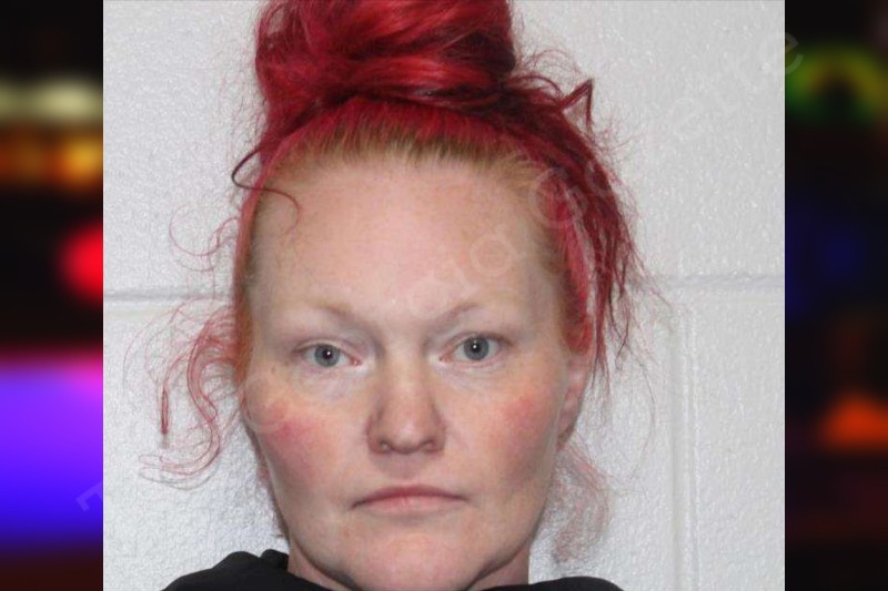 Mary Houston — Habersham County Jail Bookings