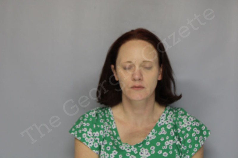 Anna Hurwitz — Hall County Jail Bookings