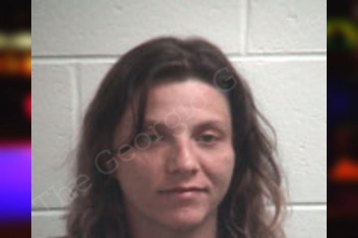 Christina Hamlin — Henry County Jail Bookings