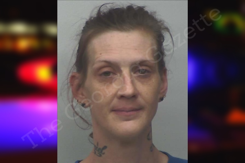 April Herndon — Lanier County Jail Bookings