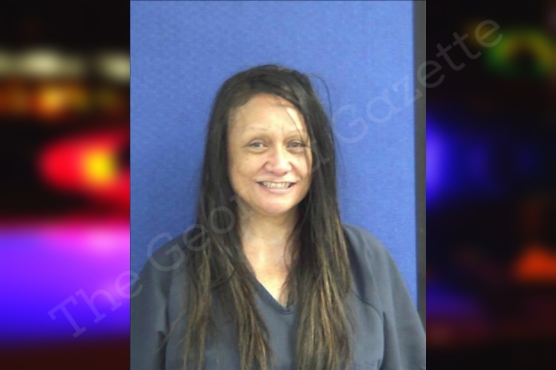 Weena Hobbs — Gilmer County Jail Bookings