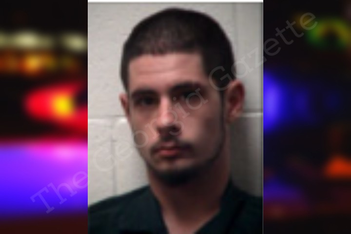 Casey Houk — Henry County Jail Bookings