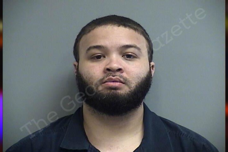 Ty Houston — Effingham County Jail Bookings