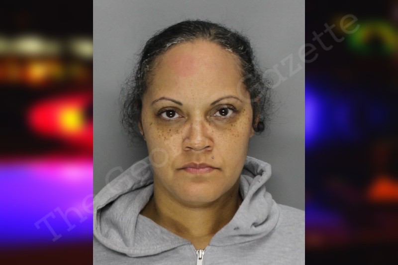 Amber Jenkins — Cobb County Jail Bookings