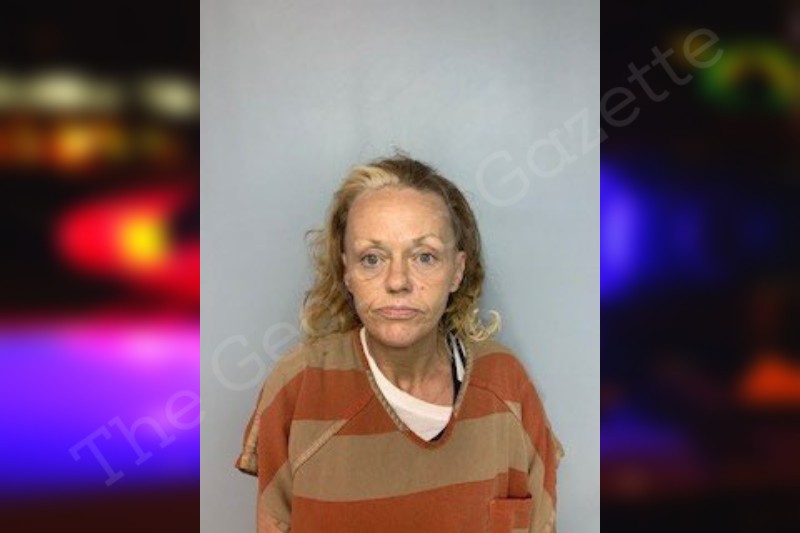 Angela Jett-Rico — Hall County Jail Bookings