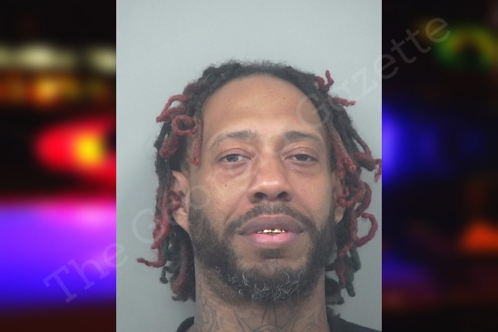 Marc Johnson — Gwinnett County Jail Bookings