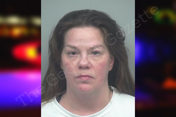 Maria Johnson — Gwinnett County Jail Bookings