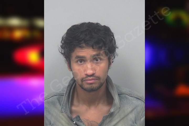 Sebastian Kicklighter — Gwinnett County Jail Bookings