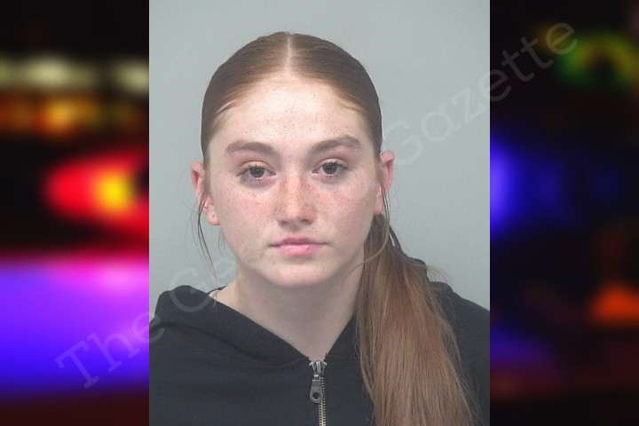 Kailey Knight — Gwinnett County Jail Bookings