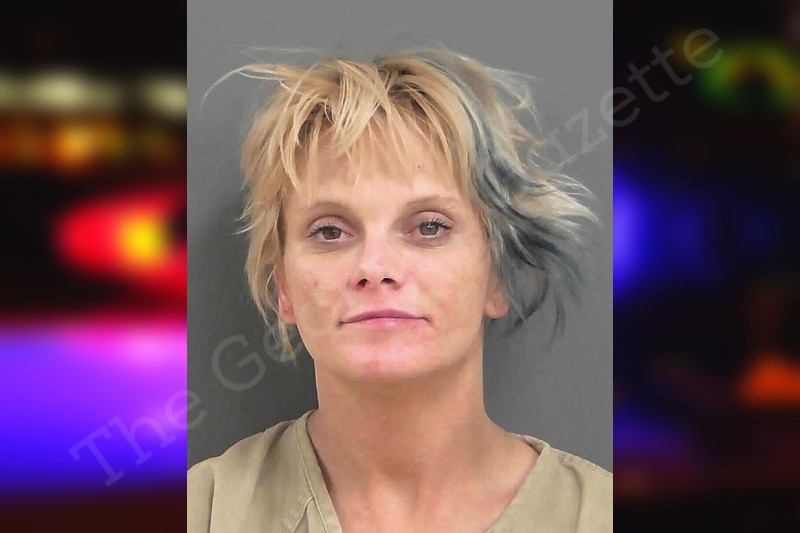Dixie Kidwell — Gordon County Jail Bookings