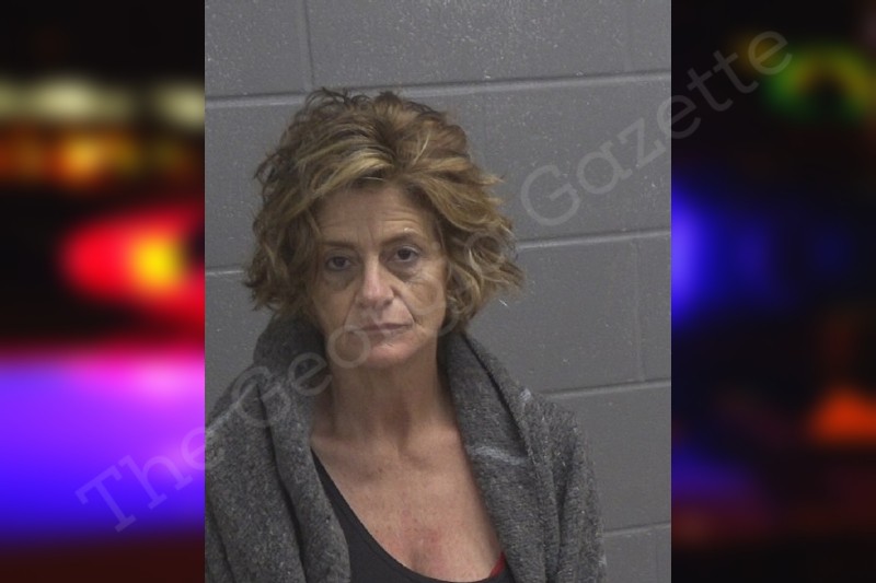 Mary Knowles — Spalding County Jail Bookings