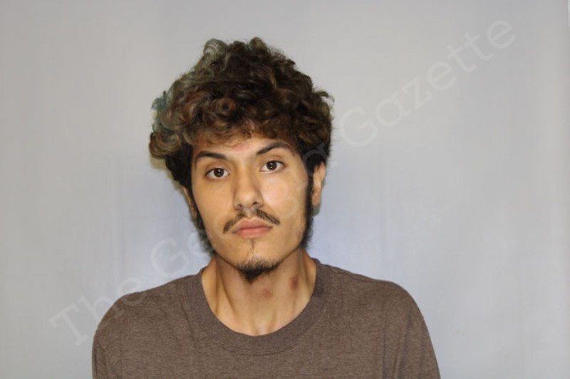 Juan Lara — Hall County Jail Bookings