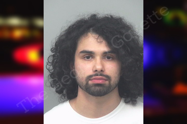 Alexander Lopez — Gwinnett County Jail Bookings