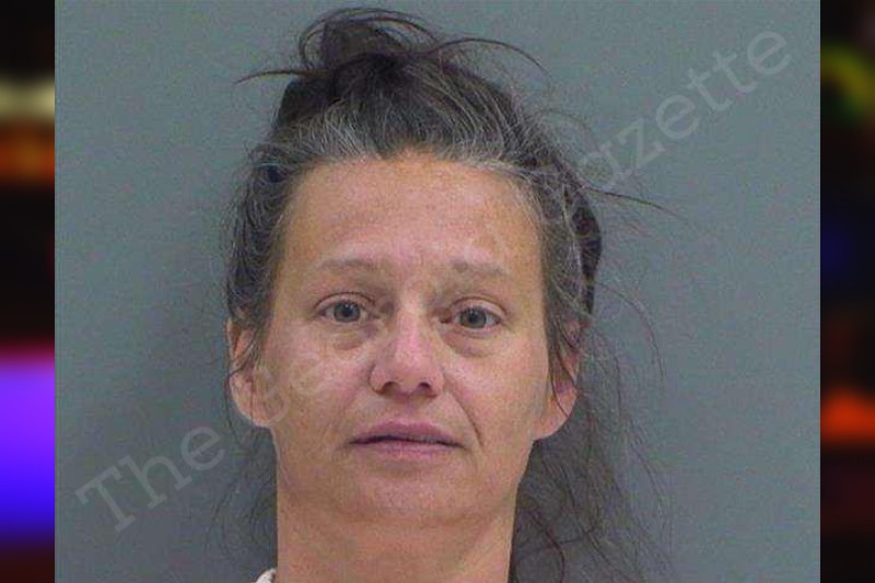 Audrey Lowry — Rabun County Jail Bookings