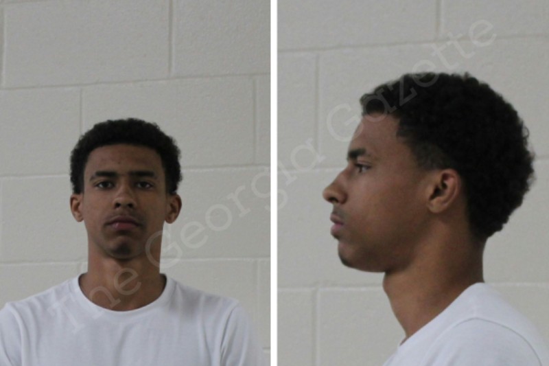 Joshua Lumpkin — Houston County Jail Bookings