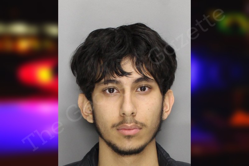 Donovan Luz — Cobb County Jail Bookings