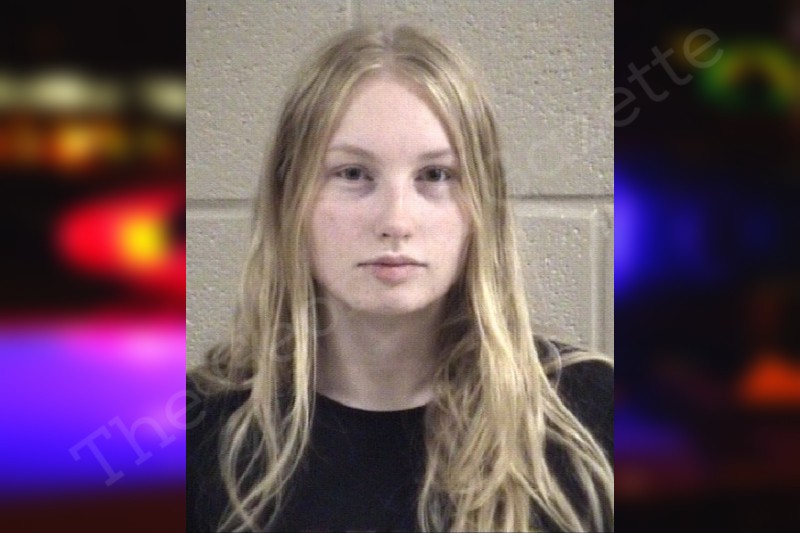 Autumn Lee — Whitfield County Jail Bookings