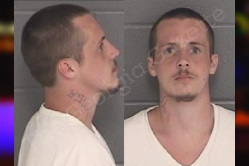 Nathan Lee — Barrow County Jail Bookings