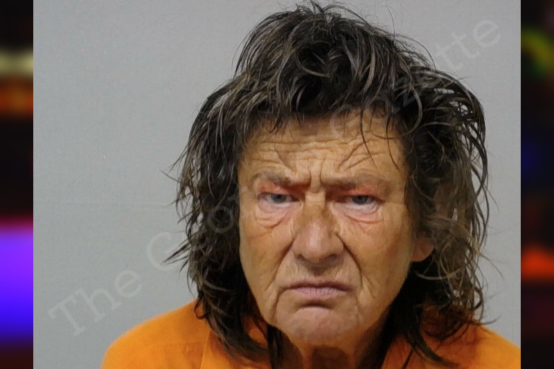 Lisa Boyd — Bibb County Jail Bookings Lisa Boyd — Bibb County Jail Bookings