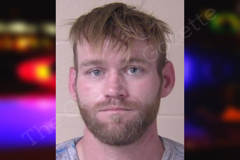 Jason Lynch — Walker County Jail Bookings