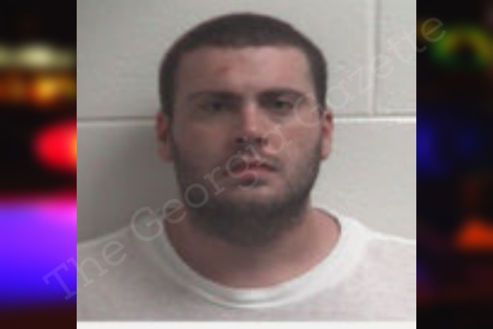 William McLendon — Henry County Jail Bookings