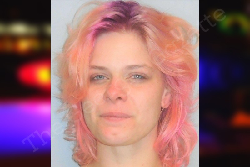 Britani Mixon — Burke County Jail Bookings