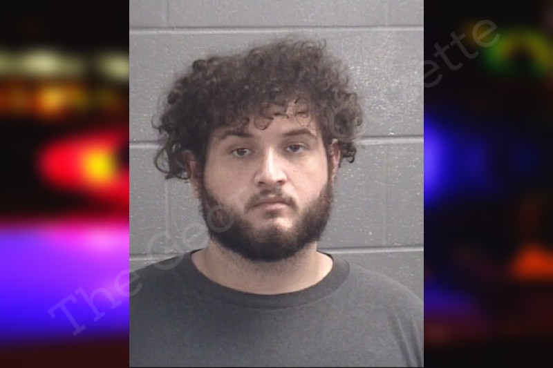 Rafael Magana — Spalding County Jail Bookings