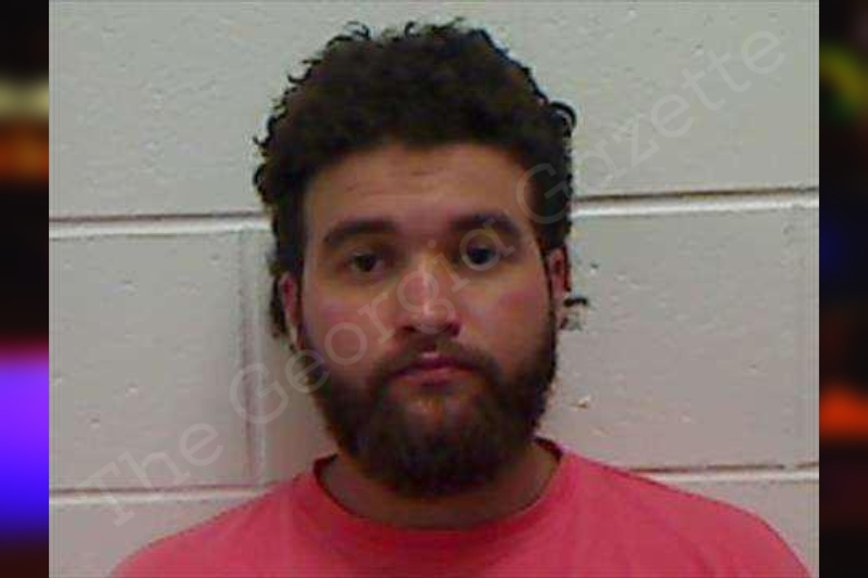 Aaron Mitchell — Bulloch County Jail Bookings