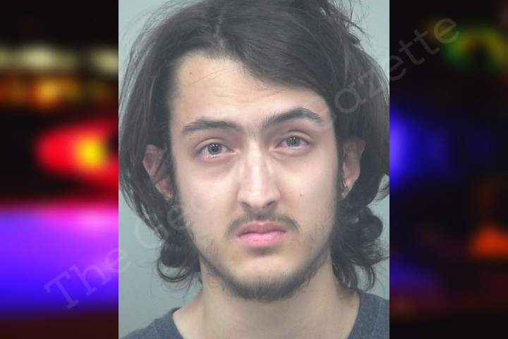 Owen Noyes — Gwinnett County Jail Bookings