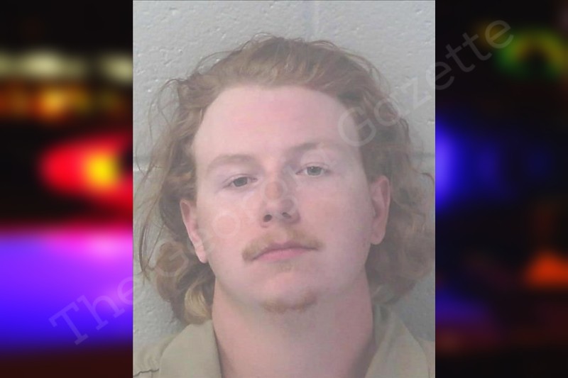 Dustin Peddle — Newton County Jail Bookings