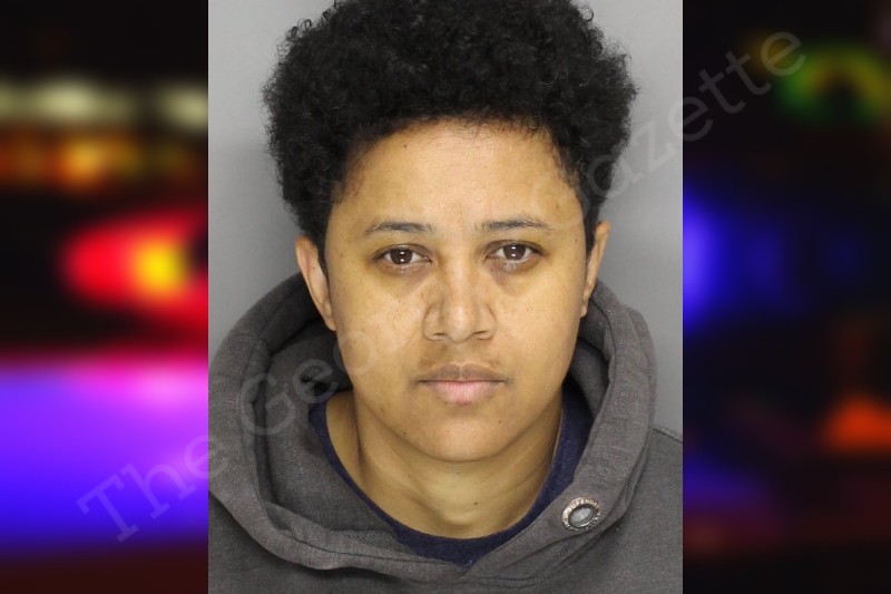 Michelle Primer — Cobb County Jail Bookings