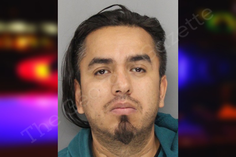 Flores Ramirez — Cobb County Jail Bookings