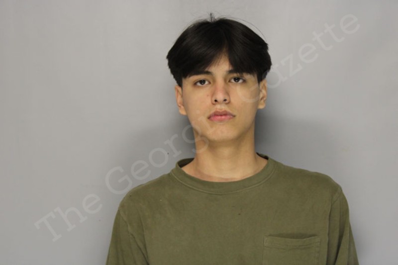 Aaron Reyes — Hall County Jail Bookings