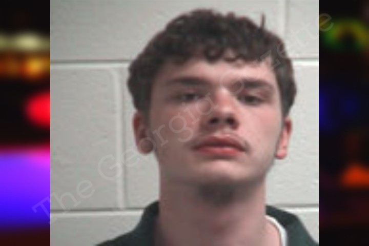 Chase Roberts — Henry County Jail Bookings
