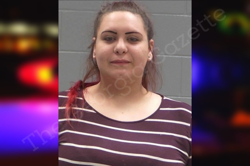 Amy Rybicki — Baldwin County Jail Bookings