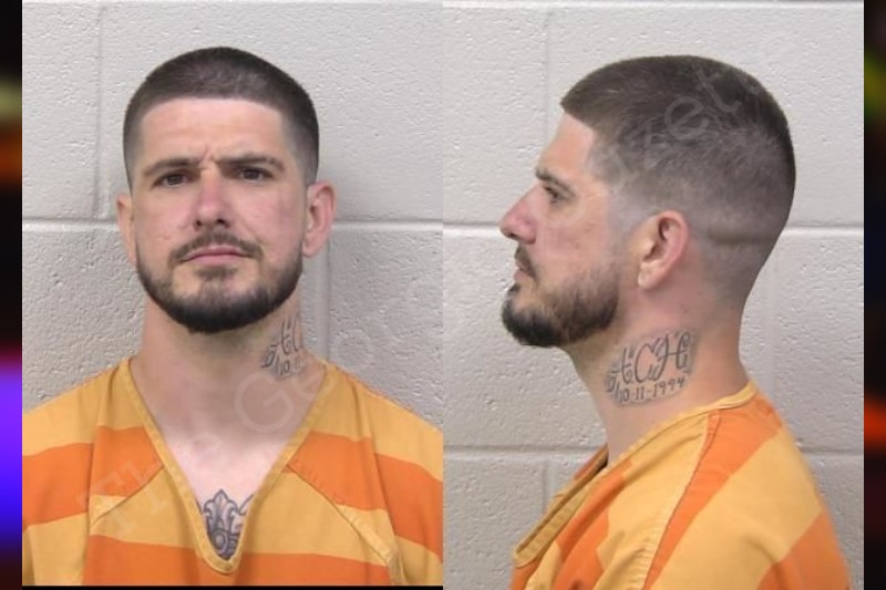 Taylor Ramsey — Paulding County Jail Bookings