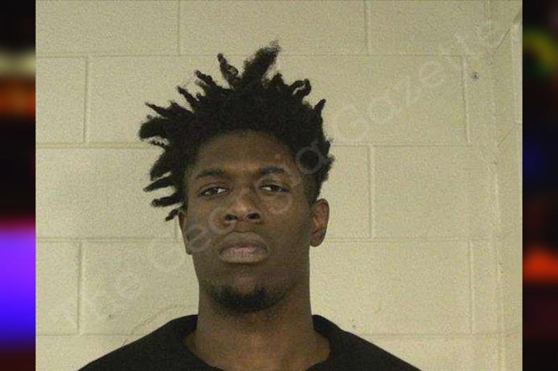 Samone Reed — Liberty County Jail Bookings