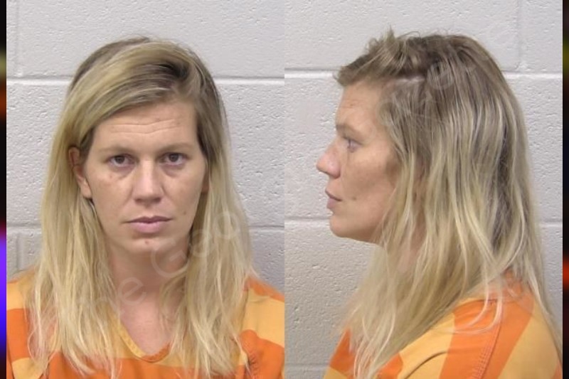 Meghann Reeves — Paulding County Jail Bookings