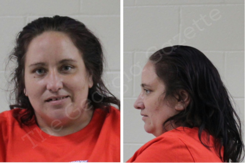 Amanda Risk — Houston County Jail Bookings