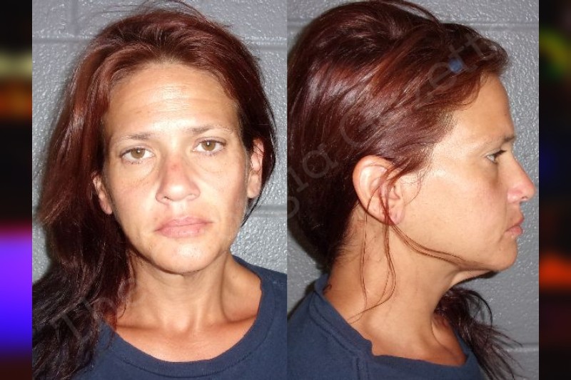 Kelly Ryno — Barrow County Jail Bookings