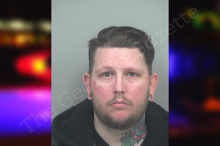 Michael Shea — Gwinnett County Jail Bookings