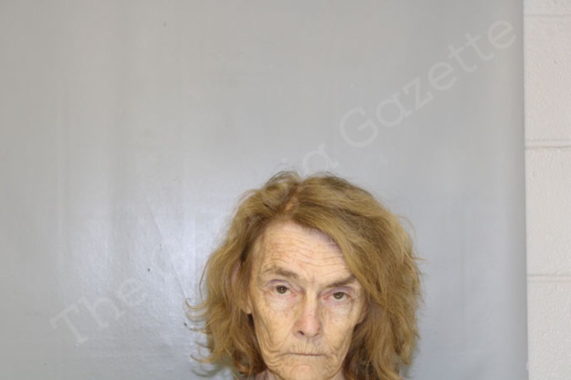 Diane Sholes — Hall County Jail Bookings