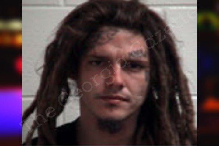 Hunter Smith — Henry County Jail Bookings