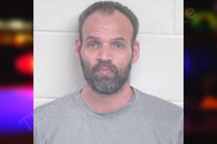 Ashlin Springer — Washington County Jail Bookings