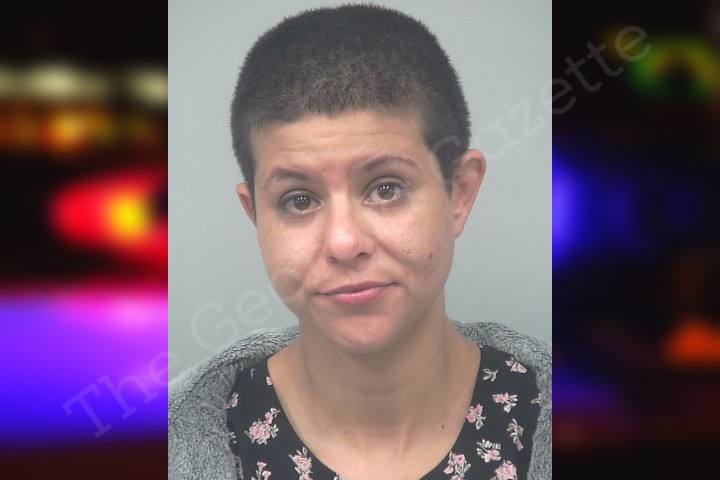 Alexandra Sweeney — Gwinnett County Jail Bookings